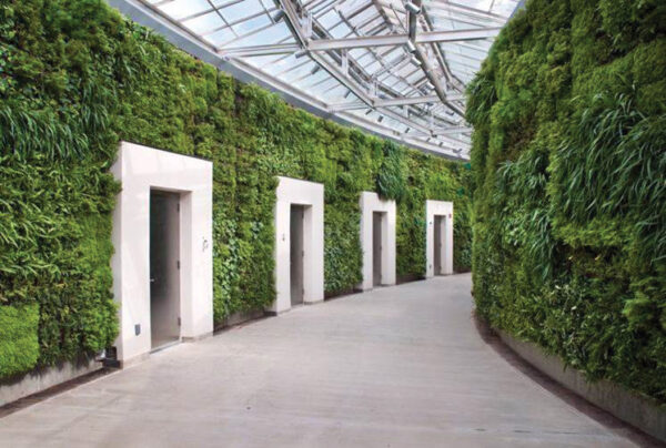 Wellness Architecture - Global Wellness Summit