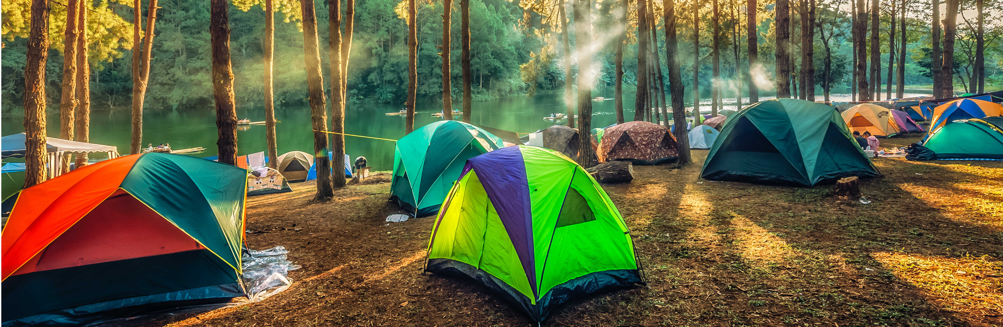Successful Brands Of The Furture Will Be Nature Smart Global