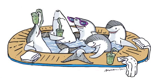 2026 Shark Tank Student Competition - Global Wellness Summit